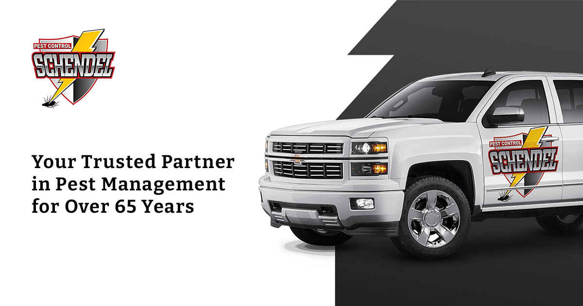 Marshalltown Pest Control | Schendel Pest Control